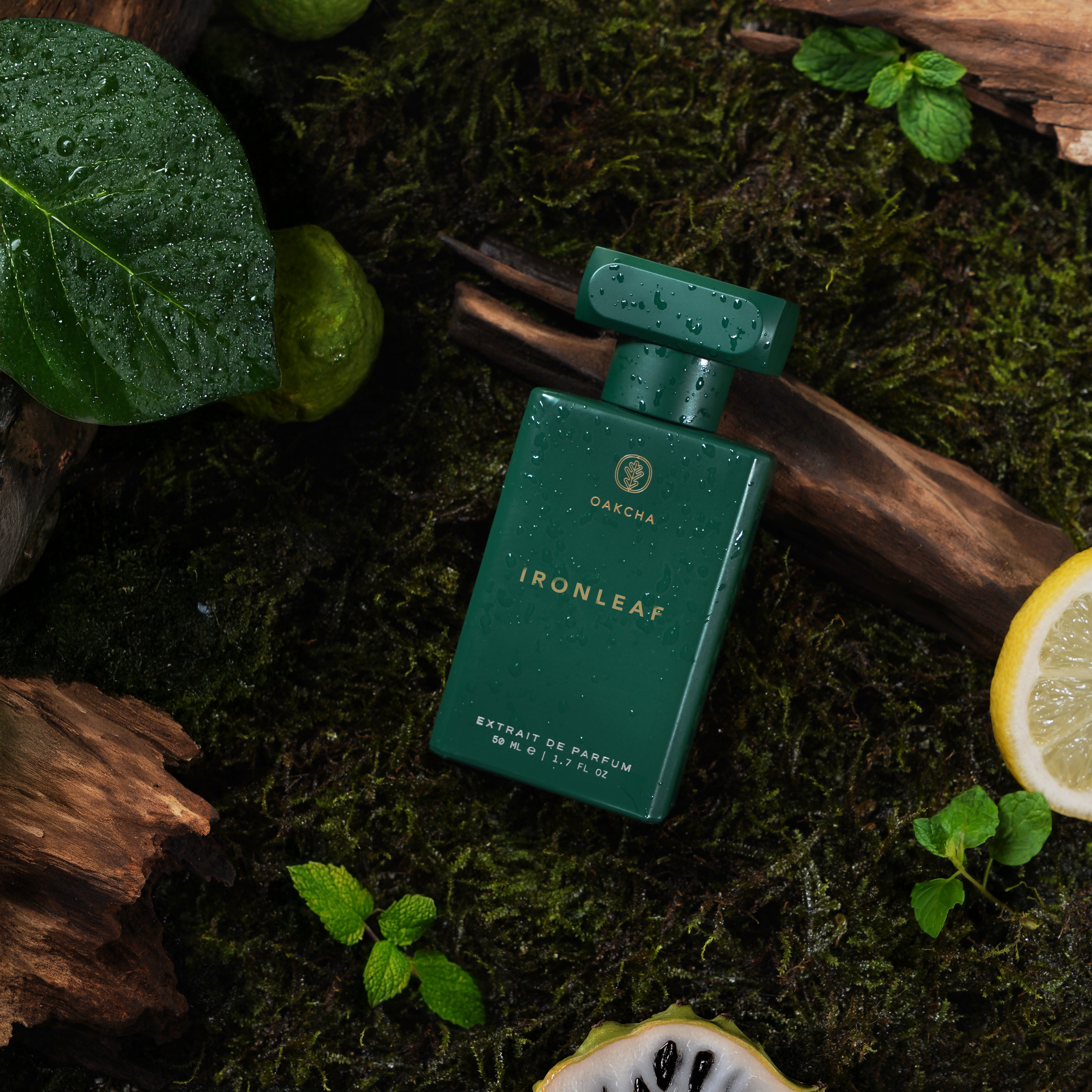 Rainforest Collection – Oakcha