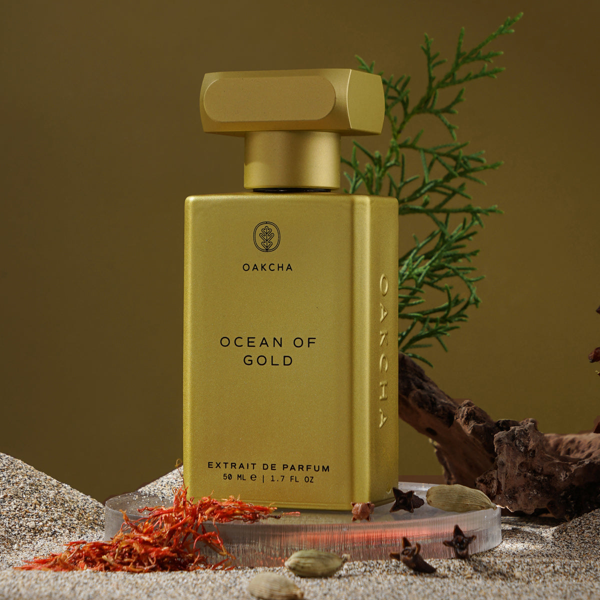 OCEAN OF GOLD – Oakcha